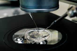 The Evolution of Fertility Treatments and Development of IVF