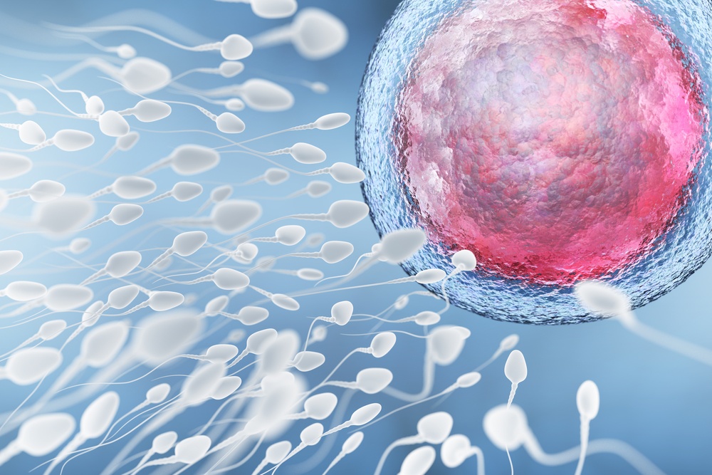 Intrauterine Insemination (IUI) vs. IVF: Which Is Right for You?